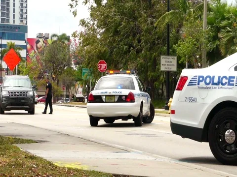 Police Investigation Scene Stock Videos – Royalty-Free HD & 4K Videos