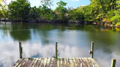 Freze Movie Stock Videos – Royalty-Free HD & 4K Videos