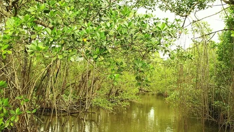 Sw_Video Stock Videos – Royalty-Free HD & 4K Videos | Page 3