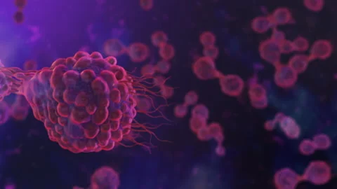 Organism Stock Video Footage | Royalty Free Organism Videos | Pond5