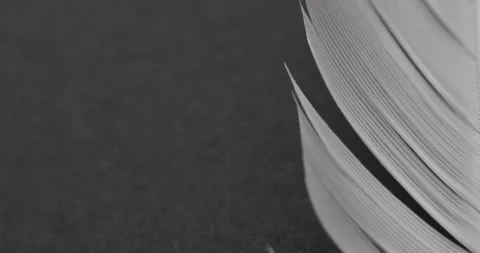 Micro video of close up of feather with ... | Stock Video | Pond5