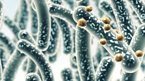 Microbacteria and bacterial organisms.bi... | Stock Video | Pond5