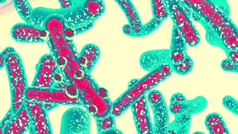 Microbacteria and bacterial organisms.bi... | Stock Video | Pond5