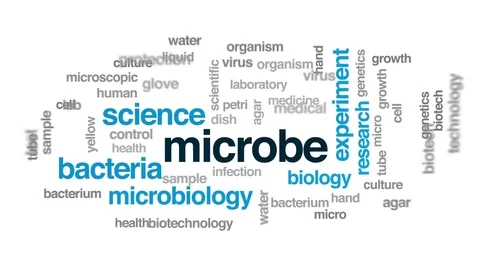 Microbe Animation Stock Video Footage | Royalty Free Microbe Animation ...