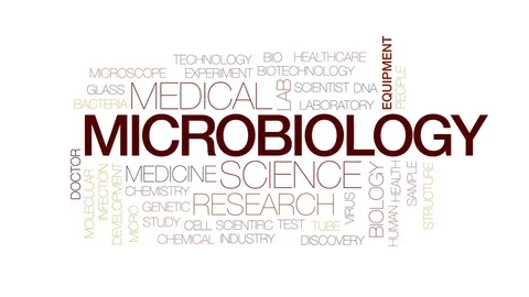 Microbiology animated word cloud, text d... | Stock Video | Pond5