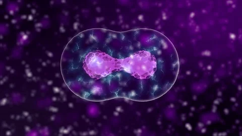 microbiology background cell division wi... | Stock Video | Pond5