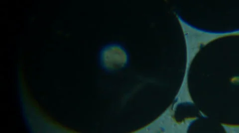 Human Saliva Stock Footage ~ Royalty Free Stock Videos | Pond5