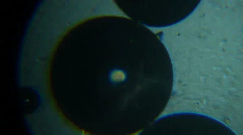 Human Saliva Stock Footage ~ Royalty Free Stock Videos | Pond5