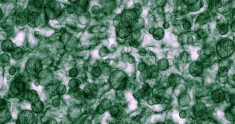 Microscope virus, bacteria and zoom of p... | Stock Video | Pond5