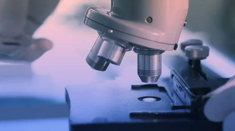 Microscope Stock Footage ~ Royalty Free Stock Videos | Pond5