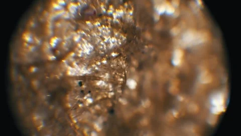 Pulp Paper Background Stock Videos – Royalty-Free HD & 4K Videos | Page 2