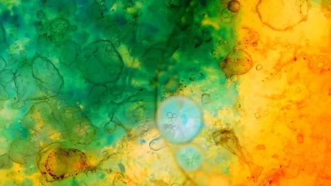 Microscopic Patterns of Colors and Paint... | Stock Video | Pond5