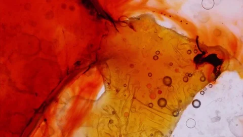 Microscopic Patterns of Colors and Paint... | Stock Video | Pond5