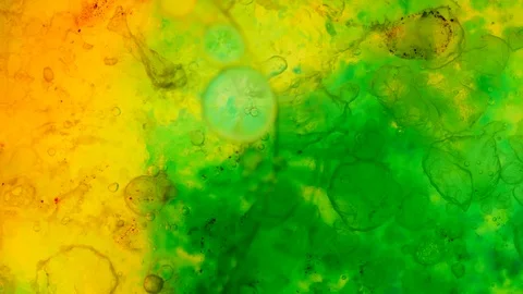 Microscopic Patterns of Colors and Paint... | Stock Video | Pond5