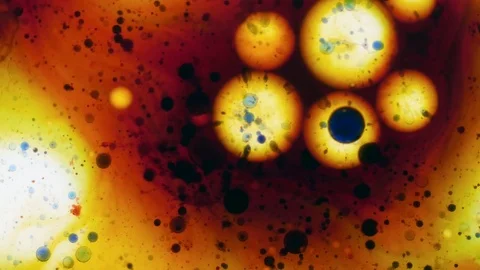 Microscopic Patterns of Colors and Paint... | Stock Video | Pond5