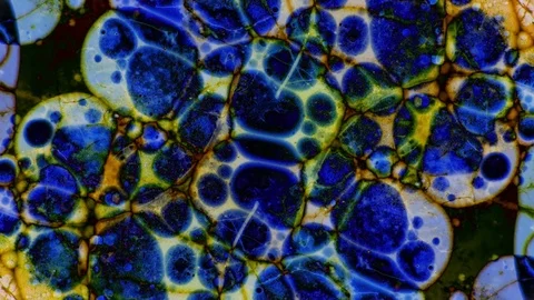 Microscopic Patterns of Colors and Paint... | Stock Video | Pond5