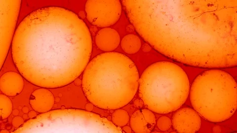Microscopic Patterns of Colors and Paint... | Stock Video | Pond5