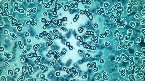 Bacteria Multiplying Stock Videos – Royalty-Free HD & 4K Videos
