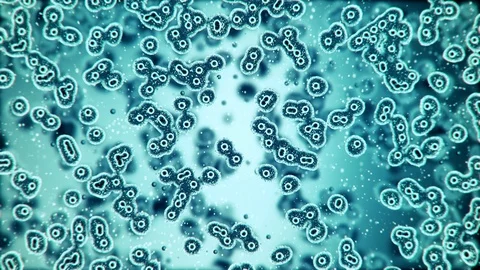 Bacteria Multiplying Stock Videos – Royalty-Free HD & 4K Videos