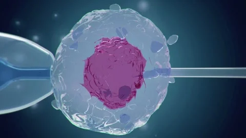 Microscopic View of Eukaryotic Cell Stru... | Stock Video | Pond5