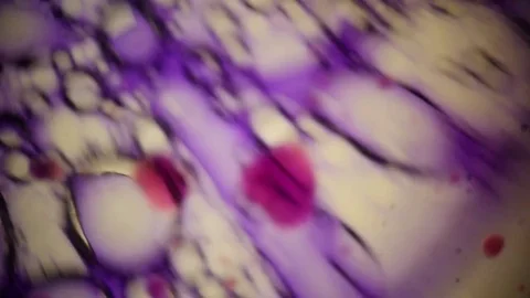 Microscopic View of Ink in Water | Stock Video | Pond5