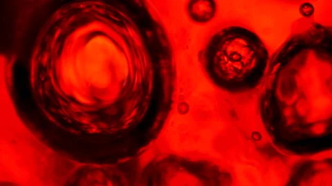Microscopic view inside body of red bloo... | Stock Video | Pond5