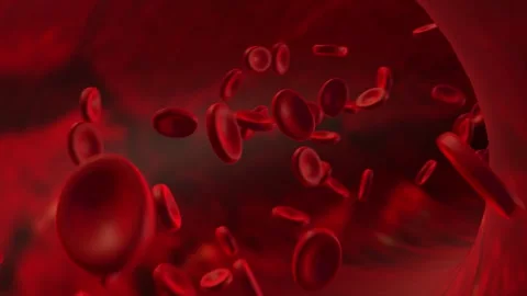 Microscopic View, Red Blood Cells in Ves... | Stock Video | Pond5