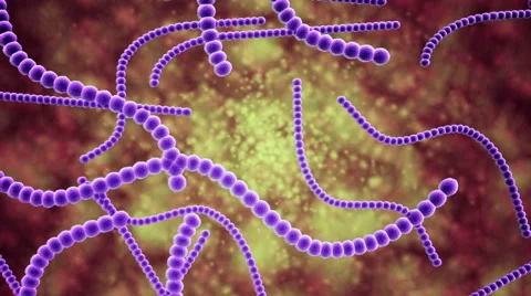 Microscopic visualization of Streptococc... | Stock Video | Pond5