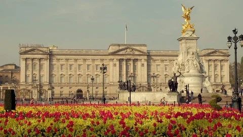 Mid shot of the flowers in front of Buck... | Stock Video | Pond5