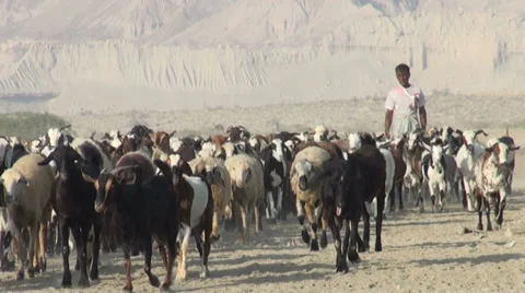 East Guide Stock Videos – Royalty-Free HD & 4K Videos