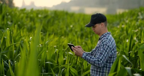 Middle plan side view: Male farmer with ... | Stock Video | Pond5