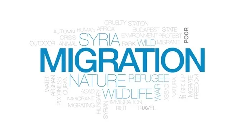 Migration animated word cloud, text desi... | Stock Video | Pond5