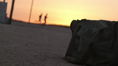 Military army bugs in the middle of the ... | Stock Video | Pond5