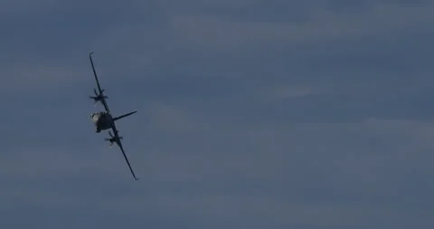 Waggle Stock Video Footage | Royalty Free Waggle Videos | Pond5