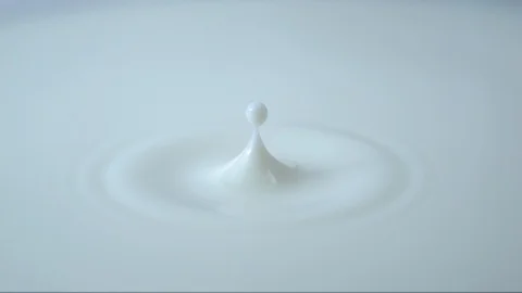 Milk Droplet Stock Footage ~ Royalty Free Stock Videos | Pond5