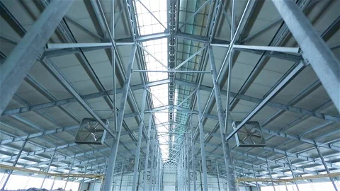 V Liv Stock Videos – Royalty-Free HD & 4K Videos