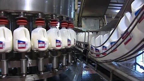 MILK HANDLING PROCESSING CONVEYOR BELT F... | Stock Video | Pond5