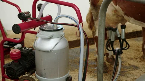 Milking The Pipe Stock Videos – Royalty-Free HD & 4K Videos