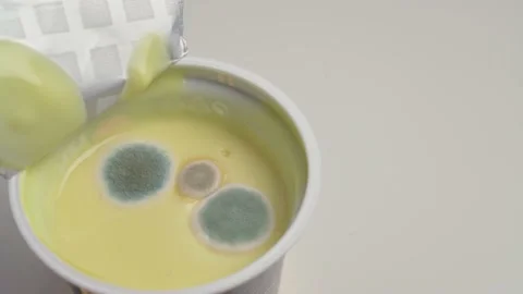 Protein Yoghurt Stock Videos – Royalty-Free HD & 4K Videos