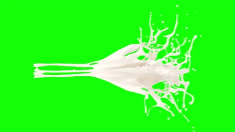 Milk splash on a green screen | Stock Video | Pond5