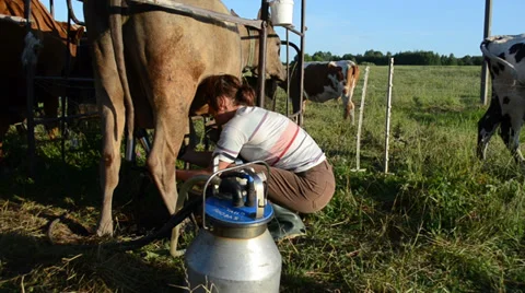 milkmaid farmer woman put milking machin... | Stock Video | Pond5
