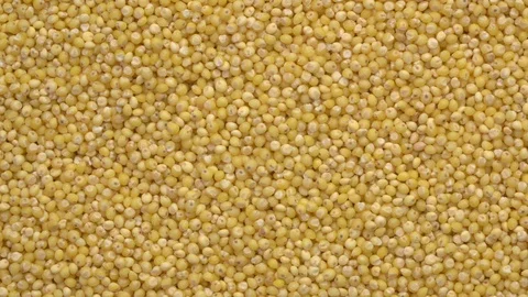 Millet grain background | Stock Video | Pond5