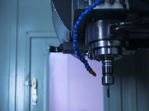 Footage Milling Stock Video Footage | Royalty Free Footage Milling ...