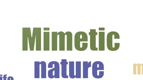 Mimetic Word Cloud Animated Isolated On ... | Stock Video | Pond5