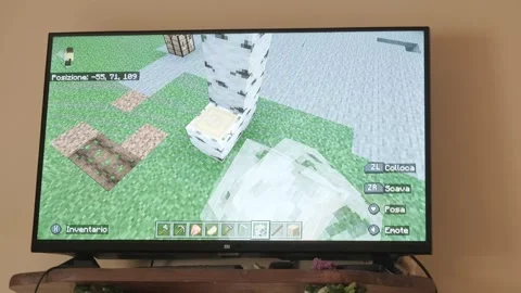 Minecraft Stock Video Footage | Royalty Free Minecraft Videos | Pond5