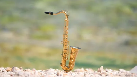 Toplittle Model Stock Videos – Royalty-Free HD & 4K Videos | Pond5