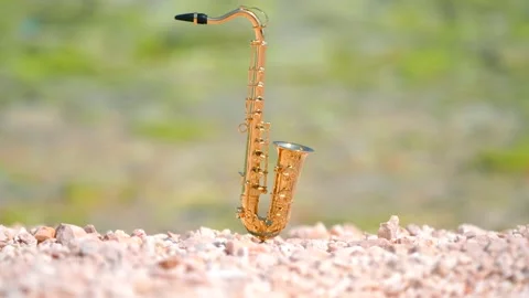 Saxophone Tenor Stock Videos – Royalty-Free HD & 4K Videos | Pond5