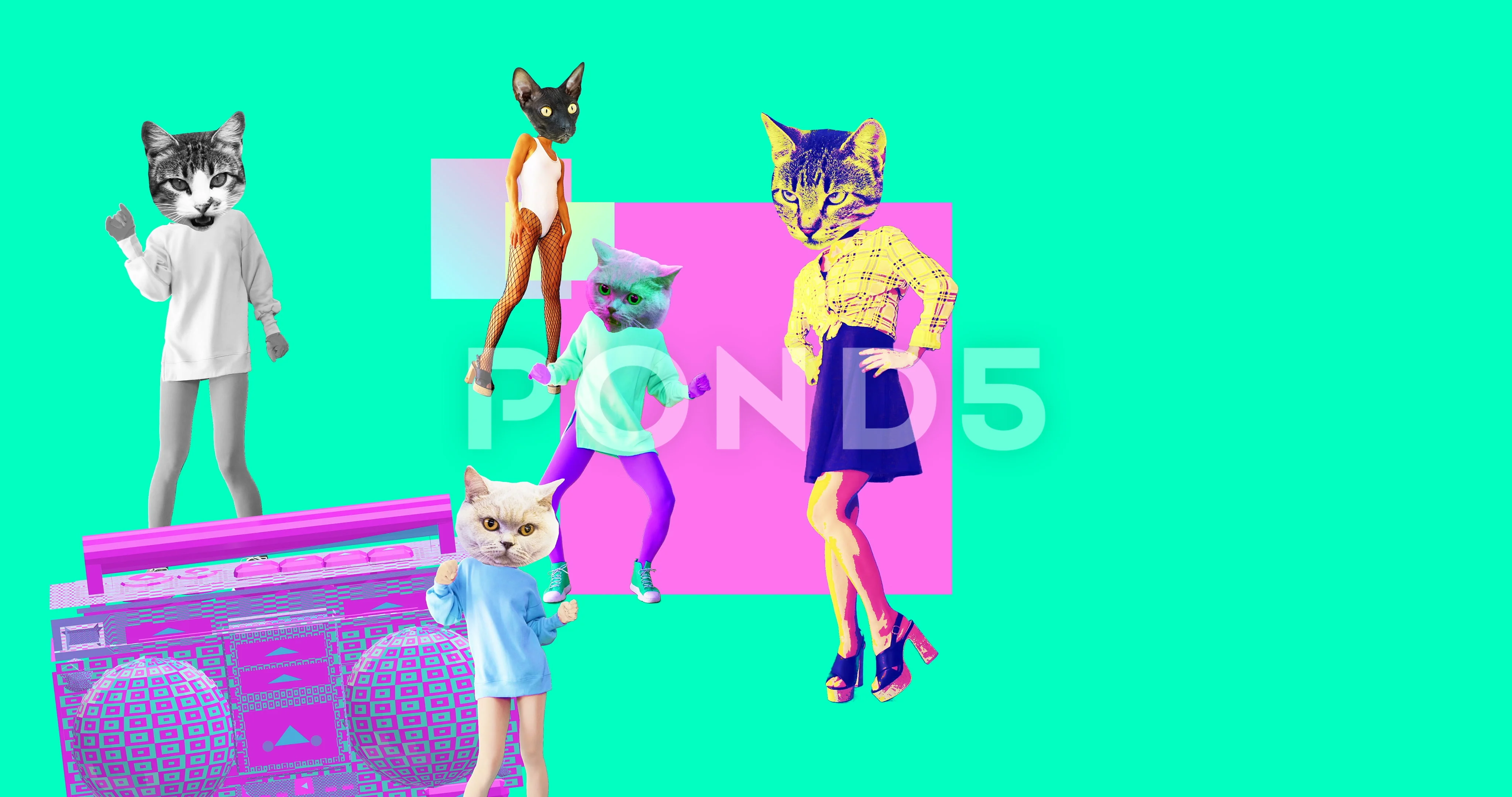 Funny Cats Dancing