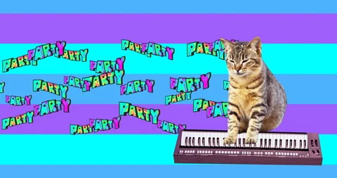 Minimal animation gif art. Funny cat wit... | Stock Video | Pond5
