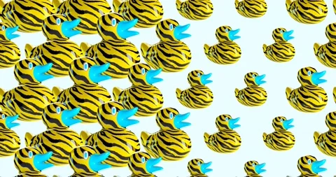 Duck Dancing Video Stock Videos – Royalty-Free HD & 4K Videos | Pond5